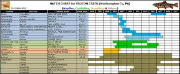 hatch chart for saucon creek | Pennsylvania Fly Fishing