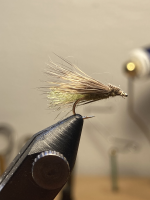 Caddis Hatches 101 | Pennsylvania Fly Fishing