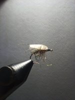 Caddis Hatches 101 | Pennsylvania Fly Fishing